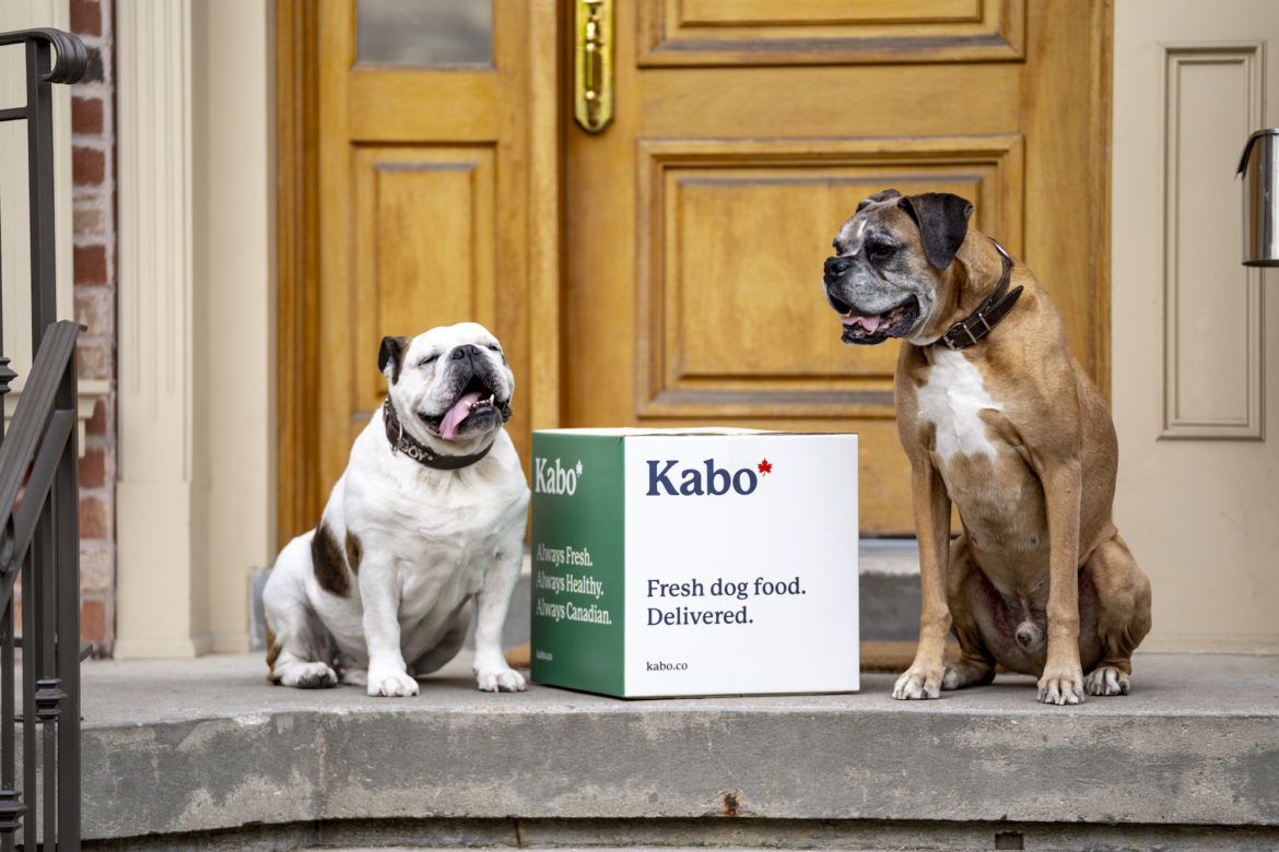 How Fanshawe Students Helped Kabo Become the Top Dog in a Digital ...